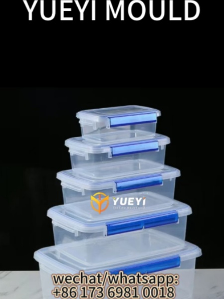 YUEYI Mould – the leader of two-color injection molding solutions ...